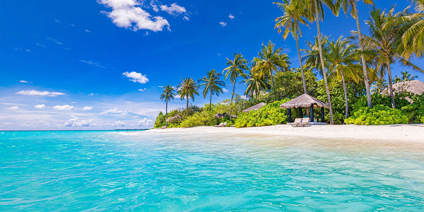 HCLSoftware: Fueling the Digital+ Economy